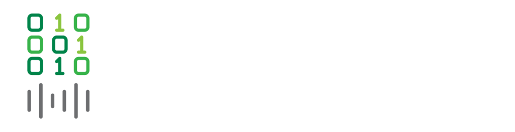 Cybersecurity and Information Security – BINARIES SAL